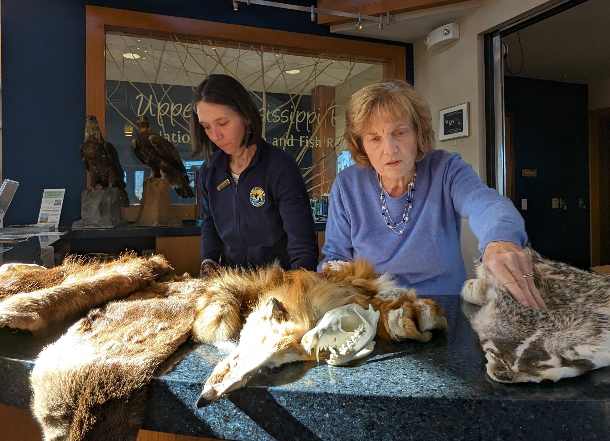 Wildlife refuge an emblem of conservation success - La Crosse Area ...